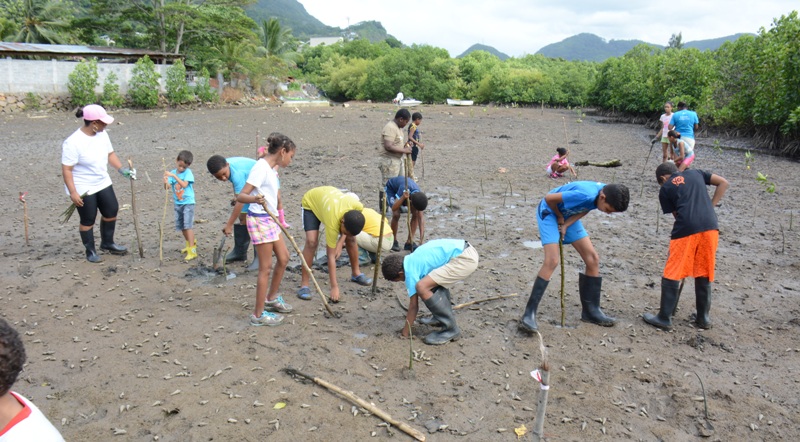 School children learn more about role of mangroves through planting ...