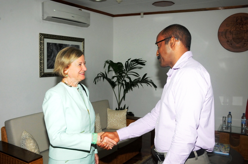 VP Meriton meets IOSCO official at State House -Archive -Seychelles Nation