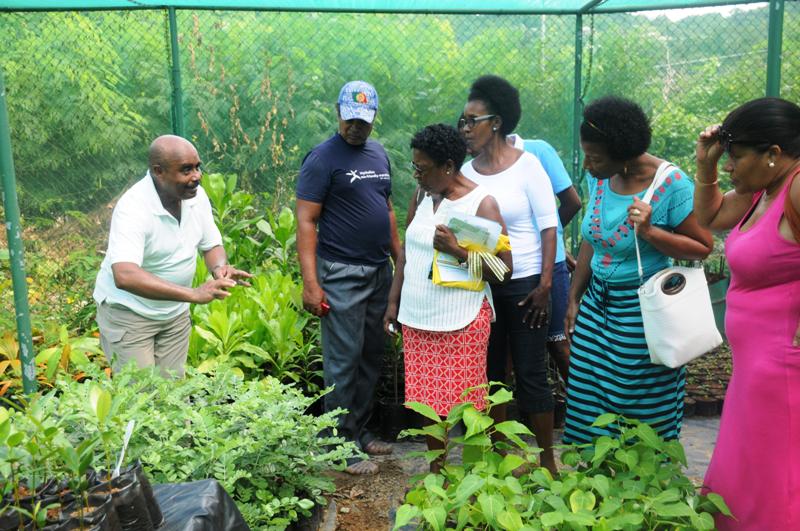UniSey environmental science students seek to boost communities ...