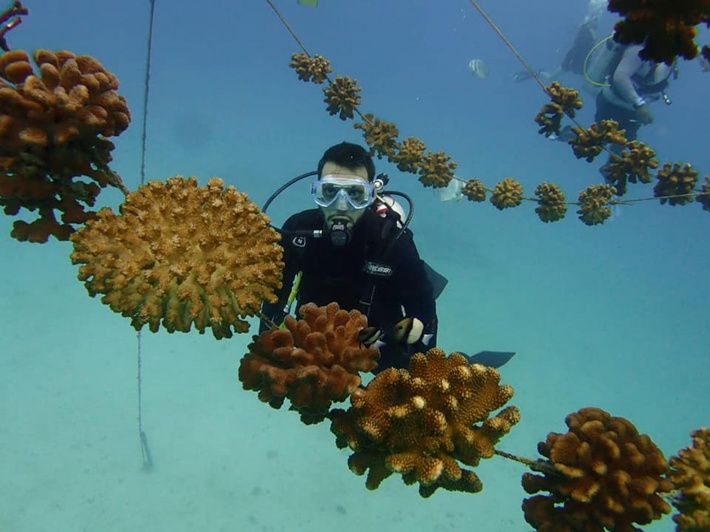 International training to save coral reefs of the WIO region launched ...
