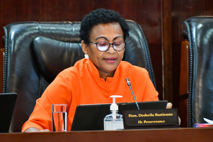 International Day of the Elimination of Violence against Women ...