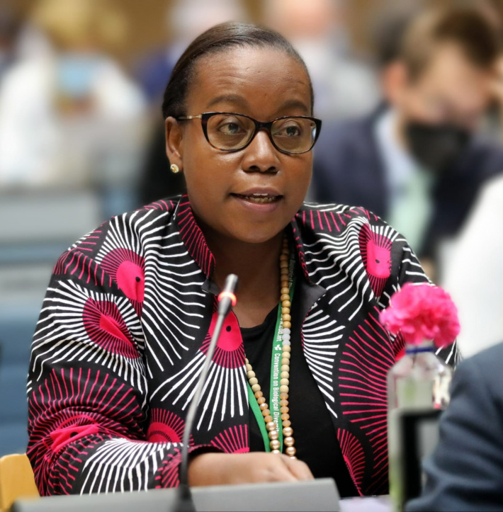 Seychellois Marie-May Jeremie elected as President of the new board of ...