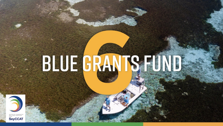 Thirteen projects to receive R11.7m in grants in support of marine ...