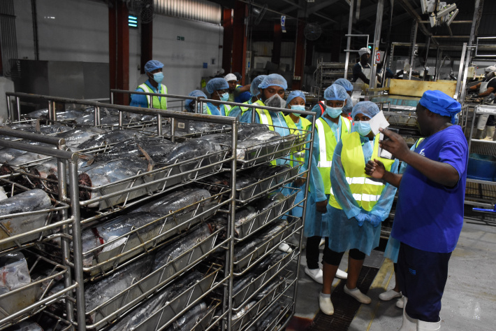 IOT opens its doors to students to commemorate World Tuna Day ...