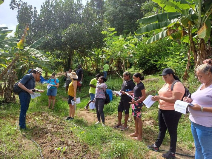 Local farming community gains insight into PGS Organic Certification ...