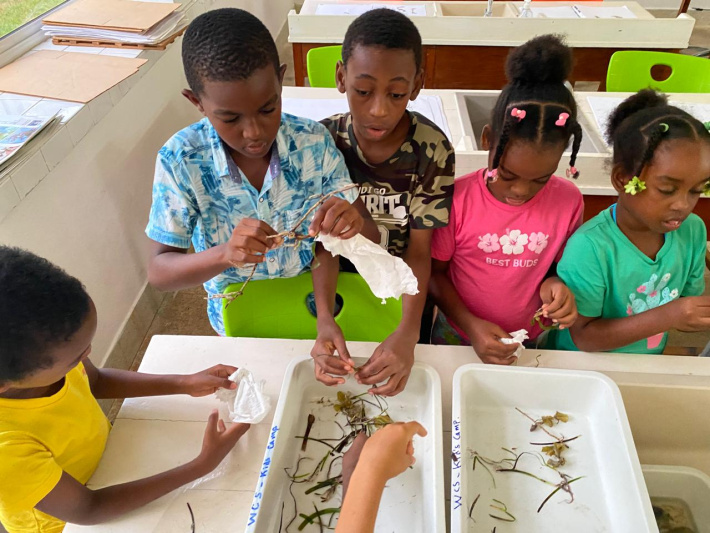 Reef walking into the World Ocean’s Day -Seychelles Nation