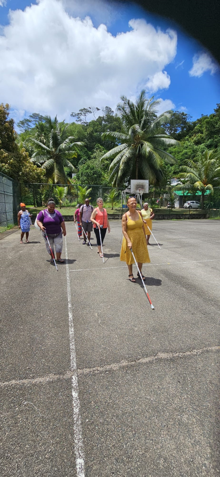 SABVI raising funds for key projects -Seychelles Nation