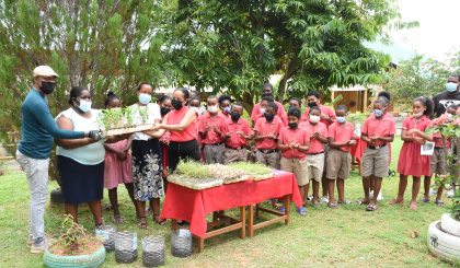 Mont Fleuri primary gets plants to embellish its garden -Seychelles Nation