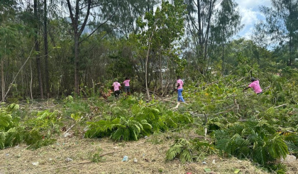 Works under way to make way for parking around Inter Island Quay ...