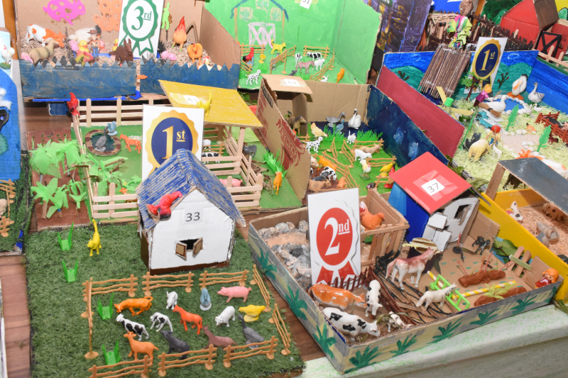 Anse Boileau crèche pupils exhibit ‘On the Farm’ project -Seychelles Nation