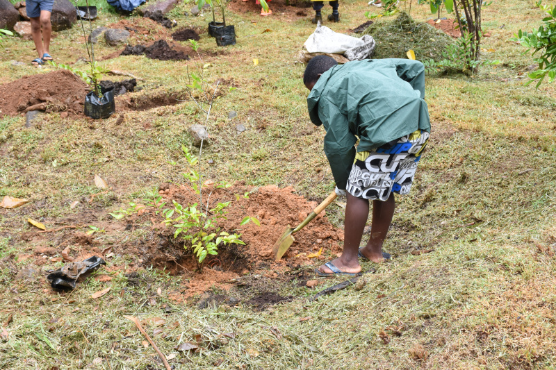 Children from homes join in Rotary Club’s tree-planting activity ...