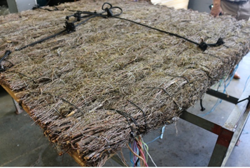 Bio non-entangling Fads used by Pevasa for its fleet -Seychelles Nation