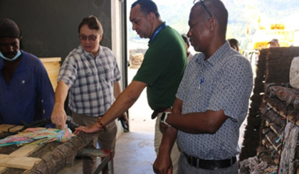 Bio non-entangling Fads used by Pevasa for its fleet -Seychelles Nation