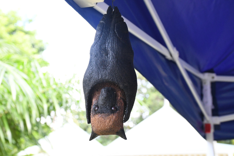 Bazar koko Domaine de Val des Près i en sikse -Seychelles Nation