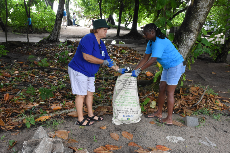 Greening the shorelines -Seychelles Nation